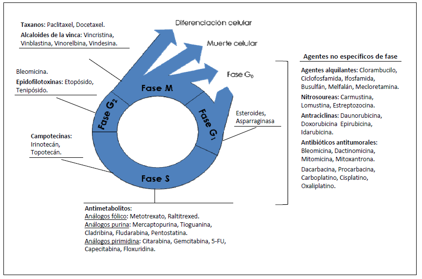 Tratamientos oncológicos