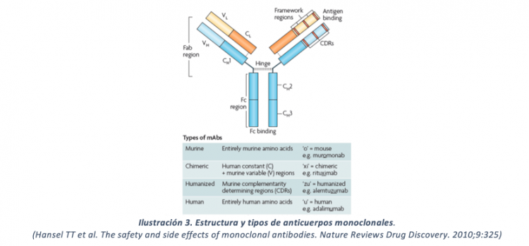 Fármacos biológicos y cáncer: anticuerpos monoclonales