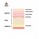Manual de información sobre cáncer de piel orientado al paciente